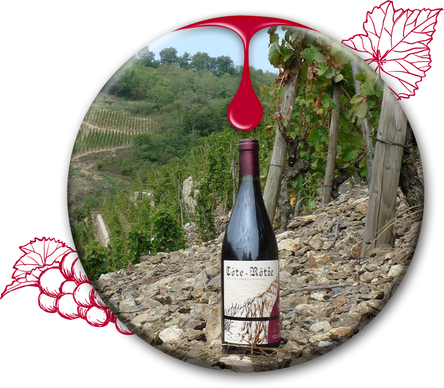 Vignobles Levet - Viticulteur à Ampuis